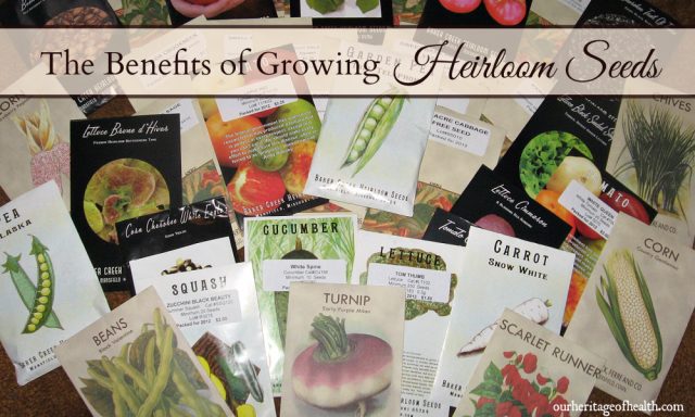 Why You Should Try Heirloom Vegetable Seeds - Our Heritage of Health