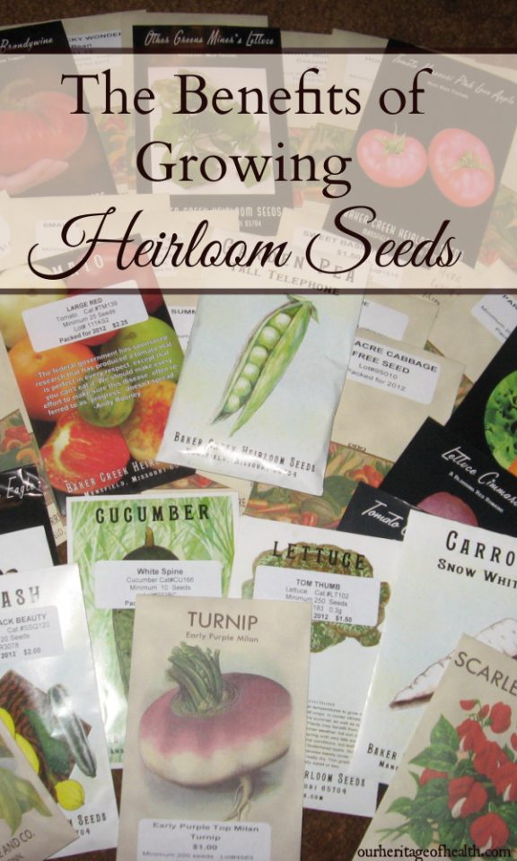 Why You Should Try Heirloom Vegetable Seeds - Our Heritage of Health