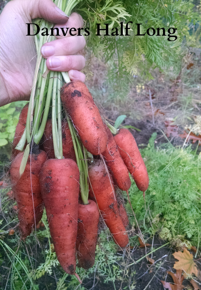 The Best Heirloom Vegetable Varieties for a Backyard Garden - Our ...