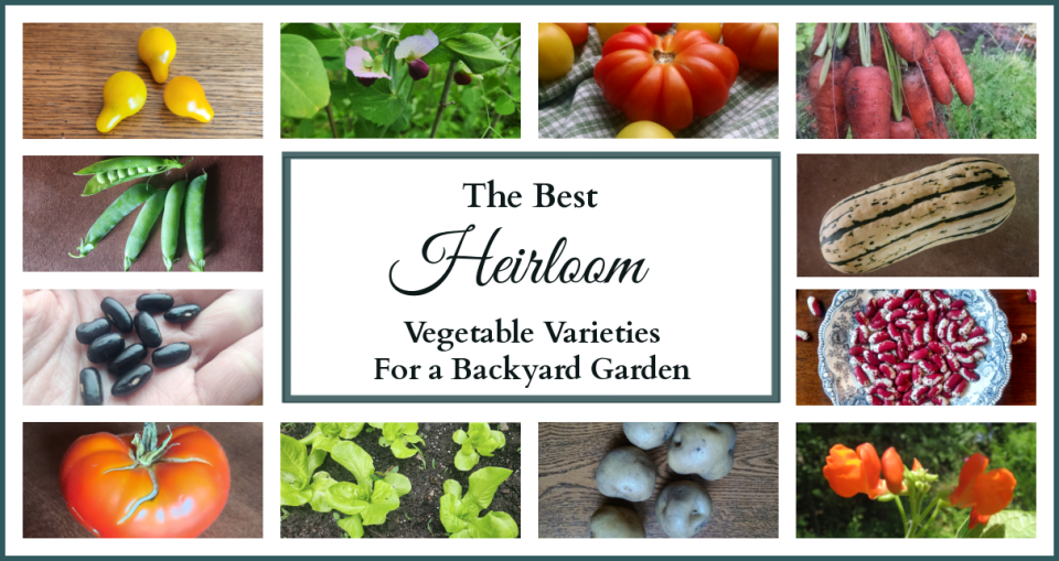 The Best Heirloom Vegetable Varieties for a Backyard Garden - Our ...