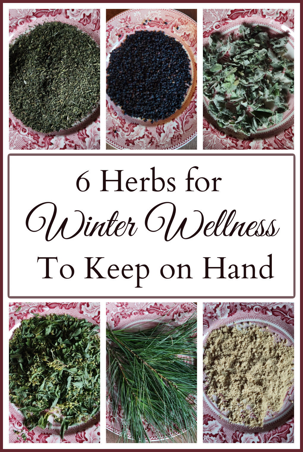6 Herbs for Winter Wellness to Keep on Hand - Our Heritage of Health