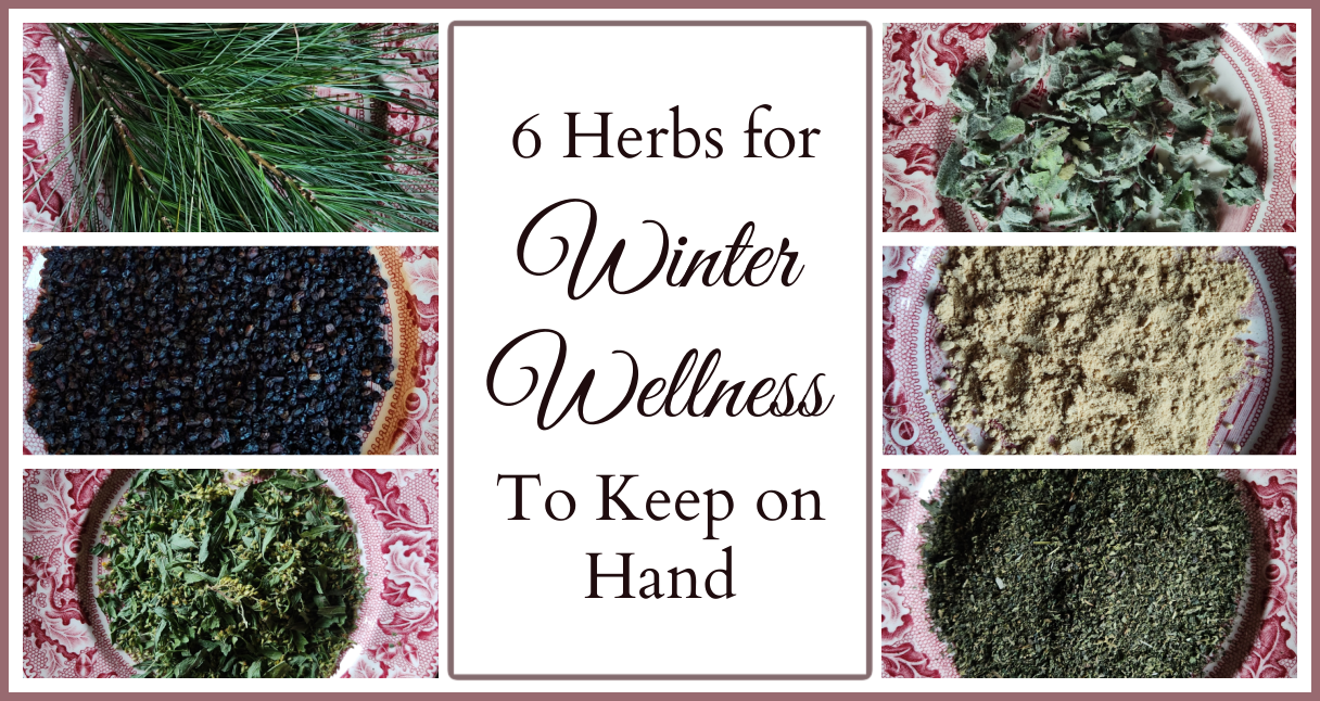 6 Herbs for Winter Wellness to Keep on Hand - Our Heritage of Health
